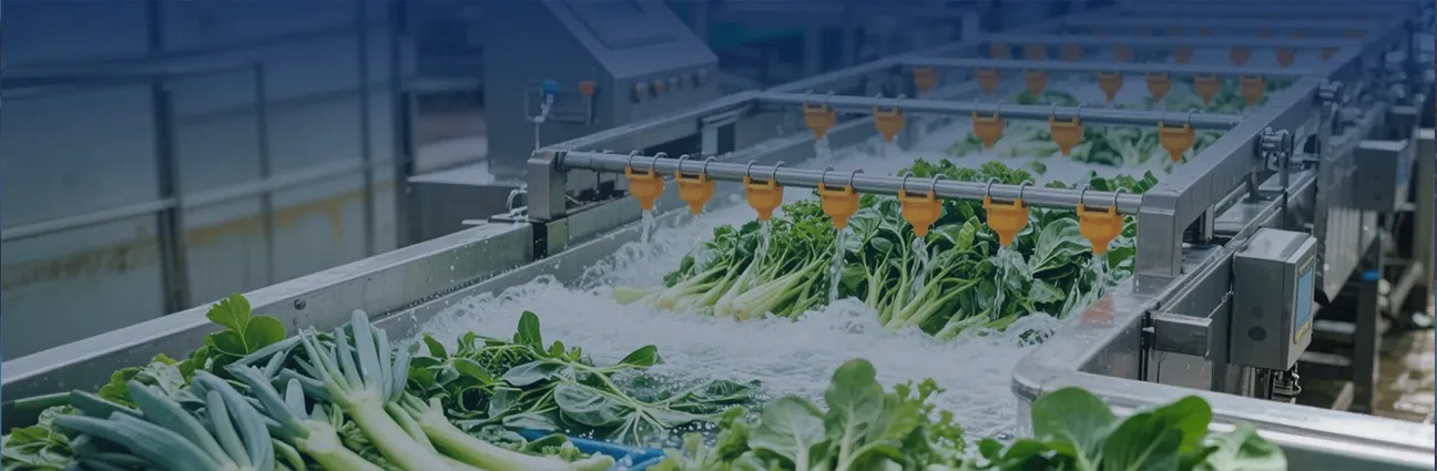 Spar Food Tech | High-Performance Food Processing Equipment